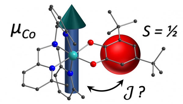 Modelling Cobalt(II)-Radical Systems